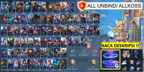 Beli Akun Akun Recall Tas Tas (Seal of Anvil Crawlers), Emblem OTW MAX, Skin SS Badang ...