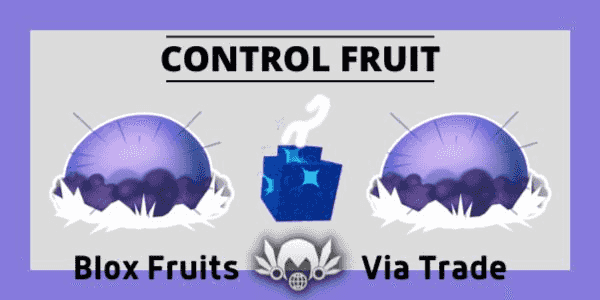 Beli Item Control Fruit Blox Fruits Roblox Terlengkap dan Termurah ...
