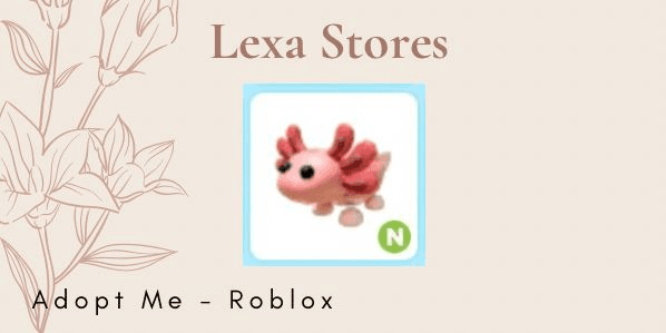 Beli Item Adopt Me N Axolotl | Pet Roblox Terlengkap dan Termurah ...