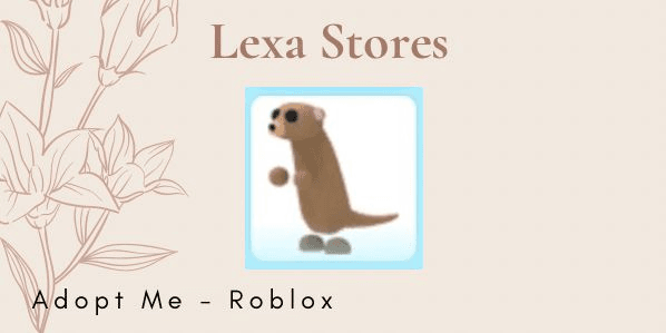 Beli Item Adopt Me Meerkat | Pet Roblox Terlengkap dan Termurah ...