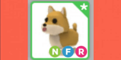 Beli Item Adopt Me Shiba Inu NFR Roblox Terlengkap dan Termurah Agustus ...