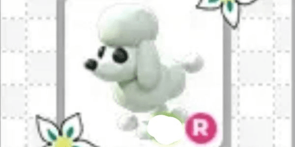 Beli Item Adopt Me Poodle Ride Roblox Terlengkap dan Termurah Agustus ...