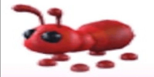 Beli Pet ANT - ADOPT ME Adopt Me Roblox Trading Hub Terlengkap dan ...