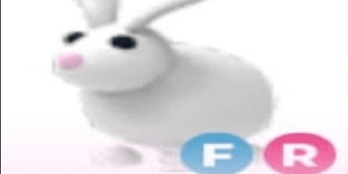 Beli Pet RABBIT FR - ADOPT ME Adopt Me Trading Hub Terlengkap dan ...