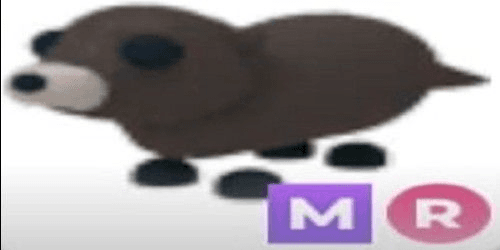 Beli Pet OTTER MR - ADOPT ME Adopt Me Roblox Trading Hub Terlengkap dan ...