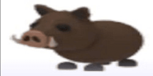 Beli Pet WILD BOAR - ADOPT ME Adopt Me Roblox Trading Hub Terlengkap ...