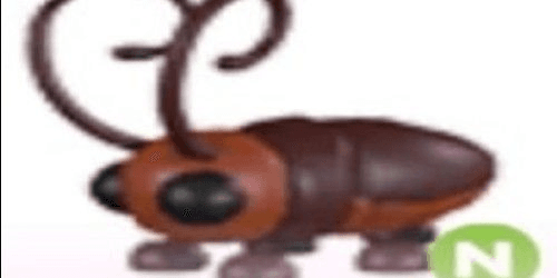 Buy Pet COCKROACH N - ADOPT ME Adopt Me Roblox Trading Hub 2851160 | itemku