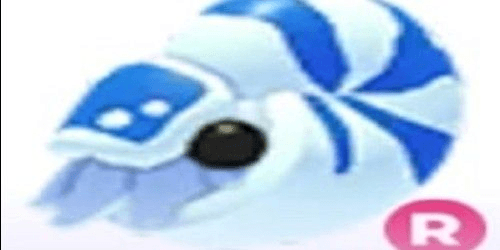 Beli Pet NAUTILUS R - ADOPT ME Adopt Me Roblox Trading Hub Terlengkap ...