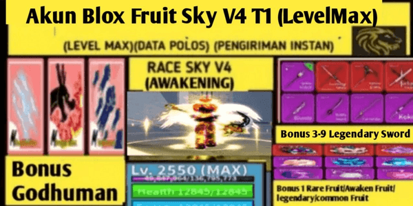 Buy Account Blox Fruit Race Sky V4 T1 Account (Max Level) (Plain Data) (Many Bonuses) Blox ...