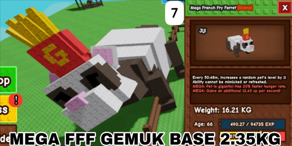 Beli Pets MEGA FRENCH FRY FERRET GEMUK / MEGA FFF GOOD SIZE GROW A ...