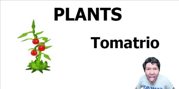 Buy Item Tomatrio Plants Vs Brainrots cheapest May 2026 | itemku
