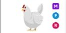 Buy Pet Chicken MFR > pet Adopt me Adopt Me Trading Hub 3974704 | itemku
