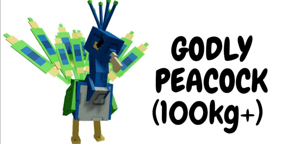Buy Pets Godly Peacock (100kg+ + max age (100) + nightmare) Grow A ...