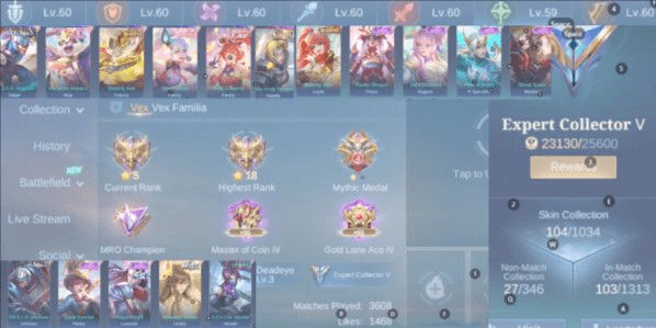 Buy Account (77) MLBB Account Emblem GG Max 6 Col Nata, Epic Skin 20 ...