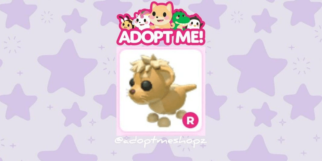 Buy Pet Lion Cub Adopt Me Trading Hub cheapest May 2026 | itemku