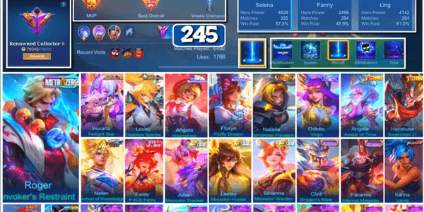 Buy Account #3228 | 245 Skins | Collector Natalia | Zero Roger ...