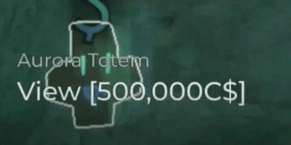 Buy Item AURORA TOTEM Fisch 3261037 | itemku