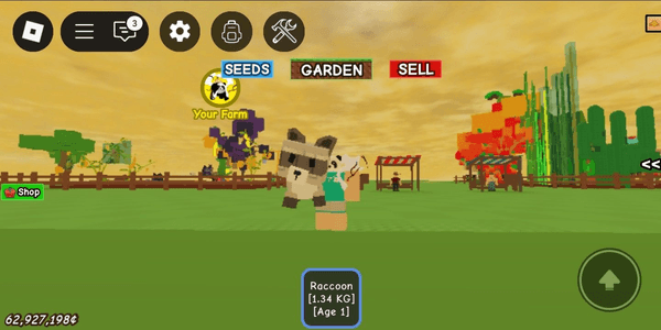 Buy Pets Raccoon Random Kg | Grow a Garden Grow A Garden 3573970 | itemku