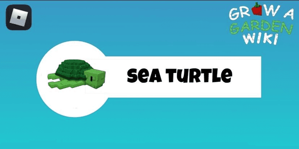 Buy Pets Giant Huge Titan Sea Turtle Grow A Garden 3604574 | itemku
