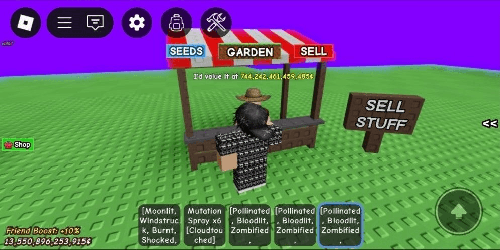 Buy Coins 744T COIN / 744 Trillion shekels - Grow A Garden Grow A ...