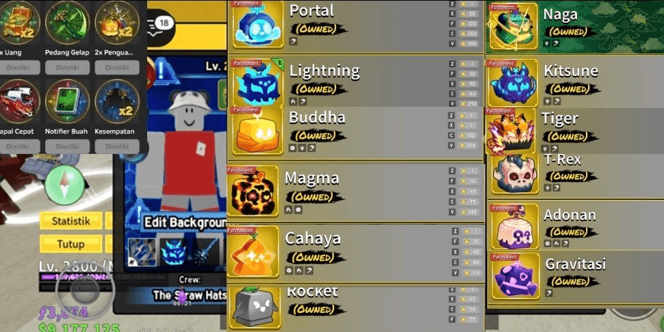 Beli Akun AKUN BERPERM 12 DRAGON KITSUNE TIGER DOUGH T-REX GRAVITY ...